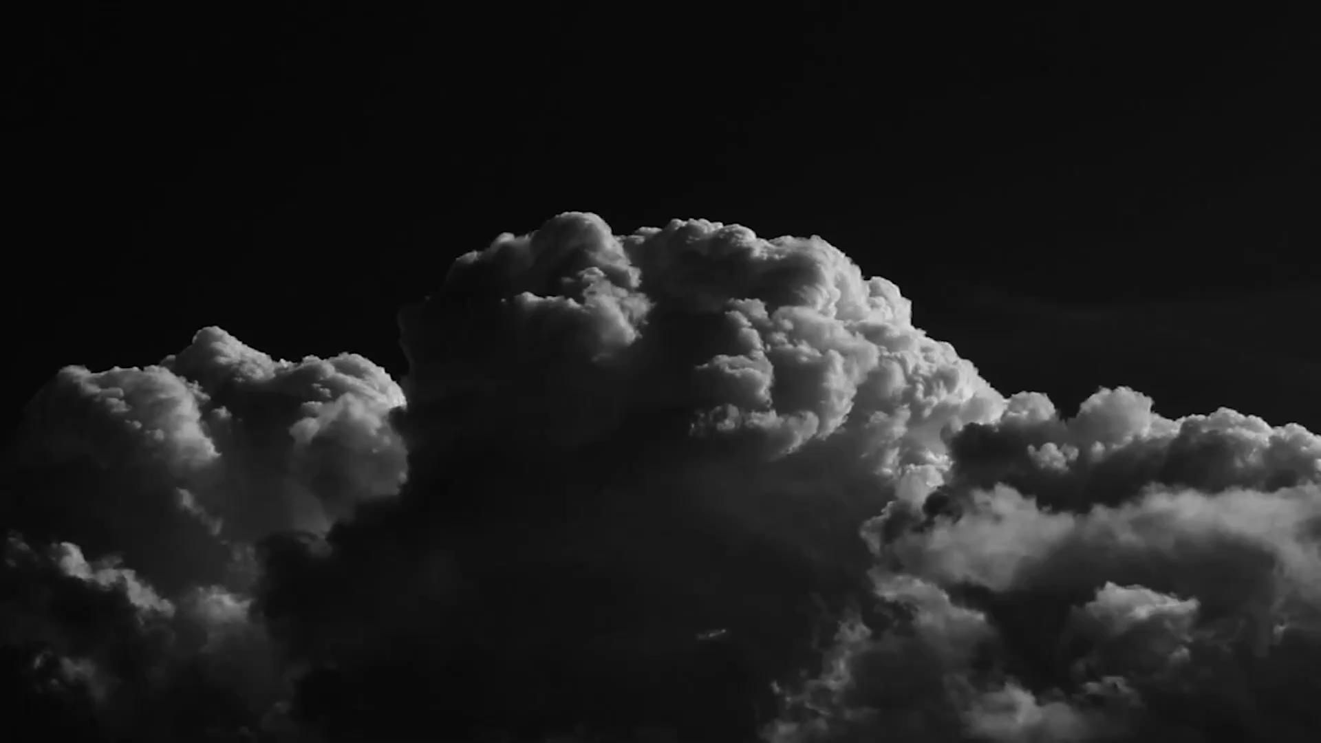 Bears Auto Group – Specialist Auto Repairs